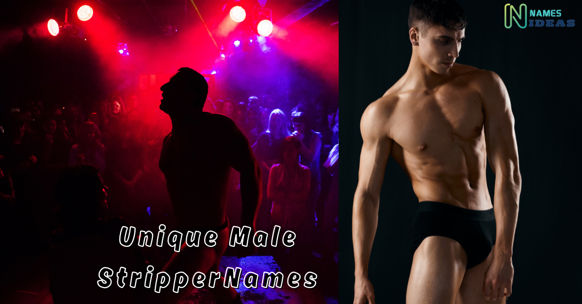 Top Best Stripper Names That leave a lasting impression!